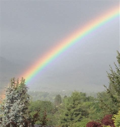 A Blessing For Rainbows Wellsprings Of Wisdom