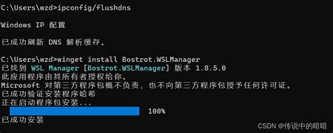 Winget安装提示：执行此命令时发生意外错误： Internetopenurl Failed 0x80072efd执行此命令时发生意外错误 Internetopenurl