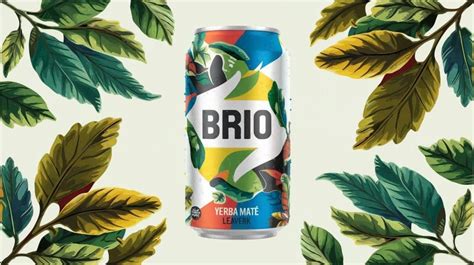 Découvrez Brio La Boisson Énergisante Naturelle à Base De Yerba Maté