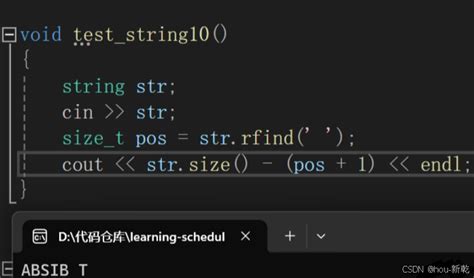 【c】string类（常用接口string插入字符 Csdn博客