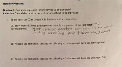 Solved Dominant One Allele Is Present For Phenotype To Be