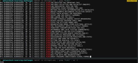 Solving Malwaretech String Challenges With Some Radare2 Magic By