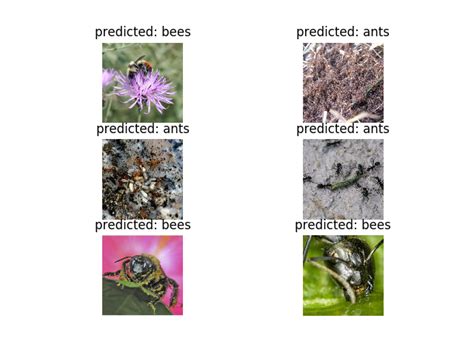 Transfer Learning Tutorial — Pytorch Tutorials 100dev20181128