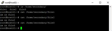 How To Synchronize Files And Directories Usi
