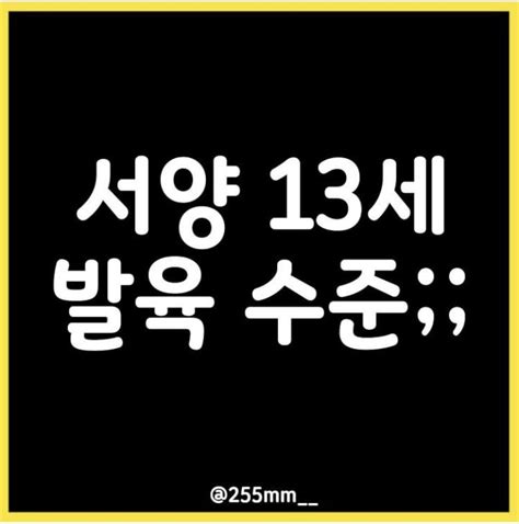 서양의 13세 발육수준 유머 움짤 이슈 에펨코리아