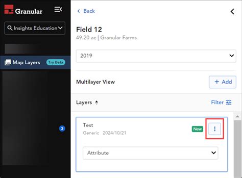 Edit A Map Layer Granular Insights