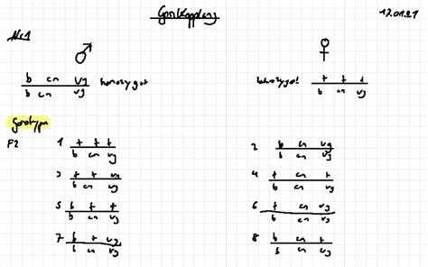 Bio Lk Genkopplung Jjhhhhhh Genkopplc Ni μ O O T B