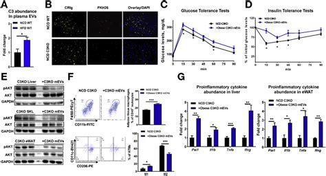 Complement component C is critical for the ability of CRIg þ Download Scientific Diagram