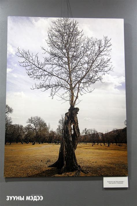 Фото “Уур амьсгалын өөрчлөлт”