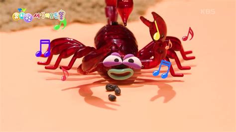 세상의 모든 똥 무시무시 전갈이 나타났다 집게발 공격 꼬리에 독침 Kbs 221026 방송 Voda