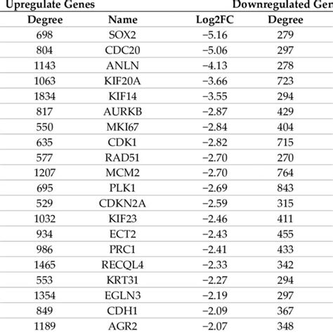 Top 20 Nodes According To Their Relative Degree Value In The