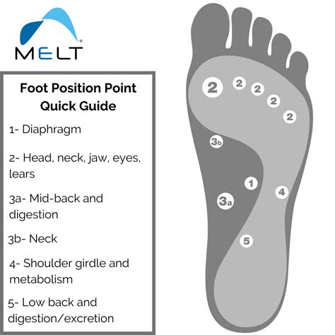 Melt Method Lets Review And Dive Into A Deeper Look At