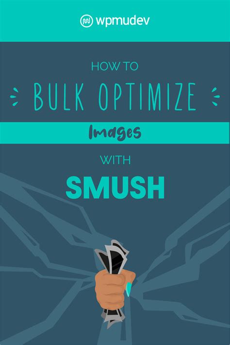 using full sized images on your wordpress site not only takes up