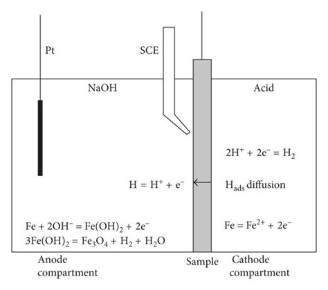 Schematic Setup Of The Test Cell With Anodic And Cathodic Reactions At