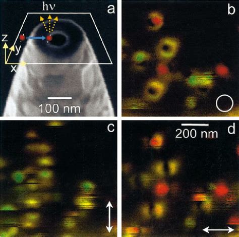͑ color ͒ ͑ a ͒ fib image of a fib etched near field aperture probe