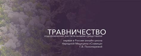 Травничество и Фитотерапия 2025 | ВКонтакте