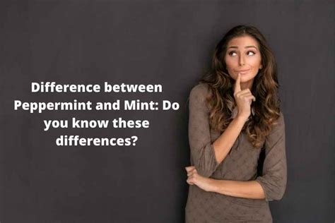 Difference Between Peppermint And Mint Do You Know These Differences