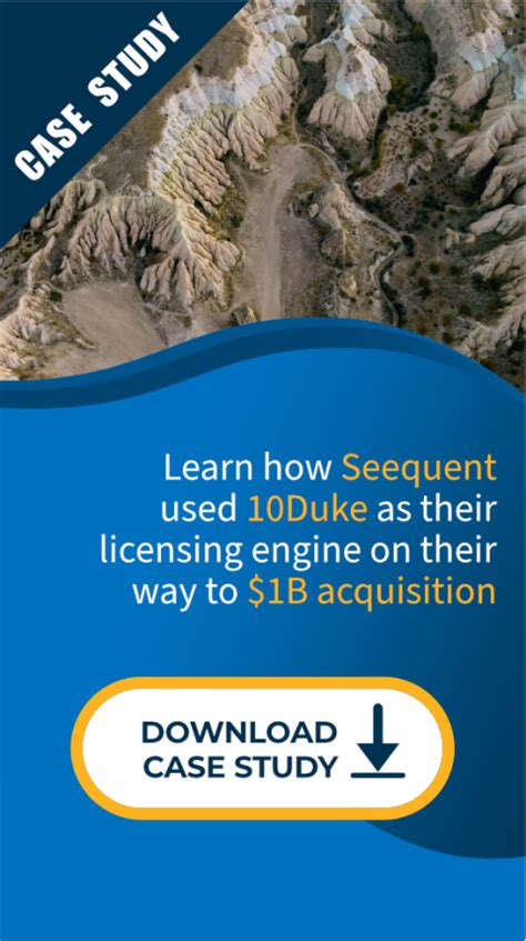 Software Distribution Strategies For Effective Delivery 10duke