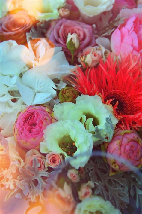 무료 이미지 혼례 꽃다발 색깔 아름다운 담홍색 배경 화이트 꽃 무늬의 녹색 아름다움 배열 로맨스 플로라 화려한 꽃잎 봄 장미 꽃 여름