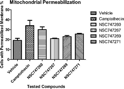 Mitochondrial Membrane Permeabilization Download Scientific Diagram