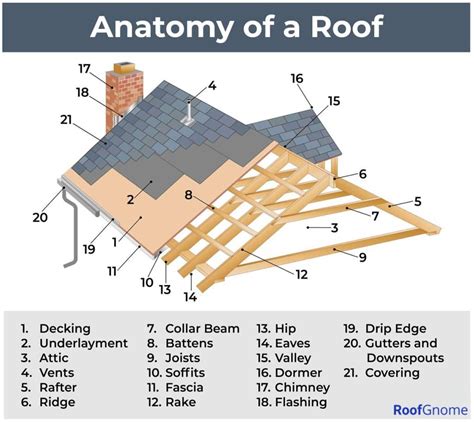 Anatomy Of A Roof Diagram Anatomy Of Roofing 1024x1154