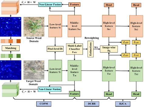 Domain Adaptation Framework I 3 Net Used In This Study Copm Dcbr And