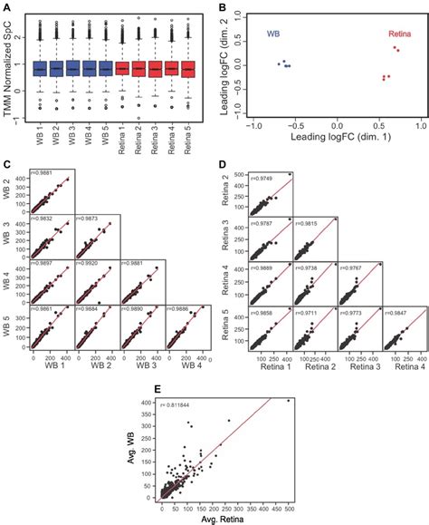 Quality Assessment Of Ms Ms Data A Tmm Trimmed Mean Of M Values Download Scientific Diagram