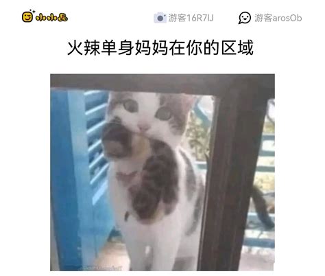 （534）（群友沙雕梗图，弔图，memes，漫画，表情包随机更新 哔哩哔哩