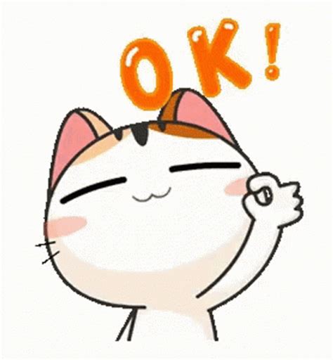 Ok S
