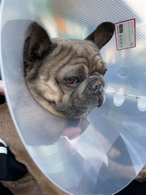 Adam Lee On Linkedin Salesforceworldtour