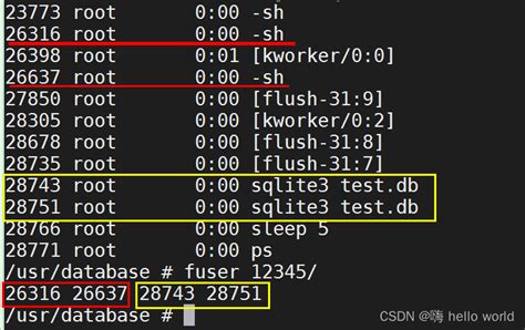 linux系统查看文件被那些进程占用andand快速杀死对应的进程 fuser查看文件占用 csdn博客