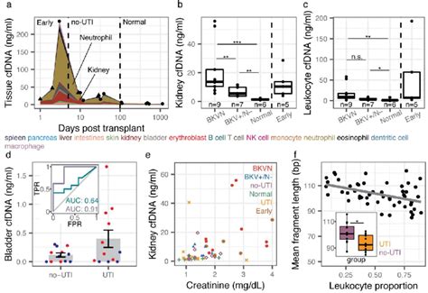 Cell Type Deconvolution Of Urinary Cfdna Reveals Host Response To Download Scientific Diagram