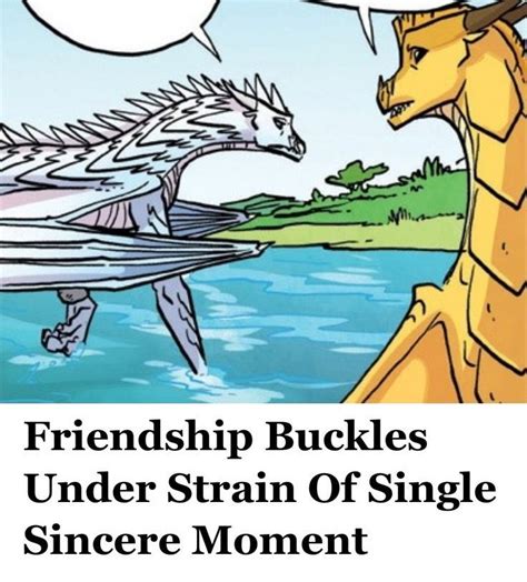 Wof Turtle On Tumblr