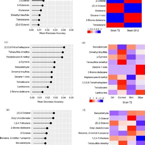 random forest rf analysis showing the top ten compounds download
