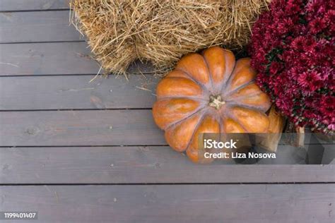 잘 익은 호박과 꽃가을 가을 구성 나무 갑판 장작 나무의 배경에 짚 추수 감사절 휴일 개념입니다 가을 수확 가을 야채 디자인용 텍스처 0명에 대한 스톡 사진 및 기타 이미지