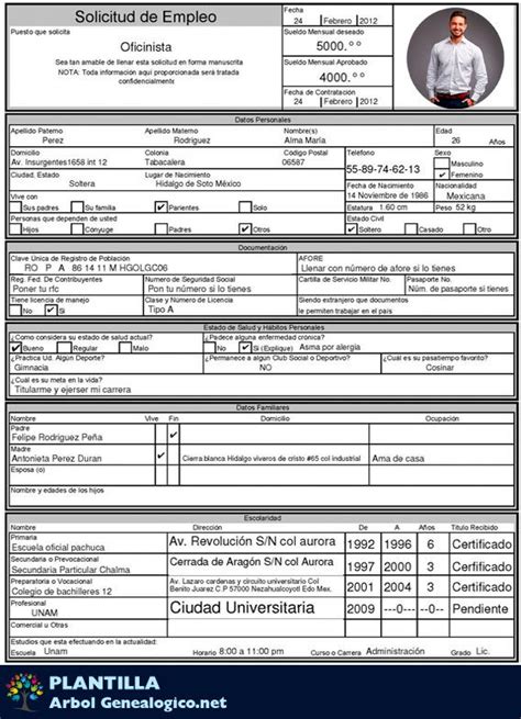 Modelo De Solicitud De Empleo Formato De Solicitud De Empleo Sjnfe