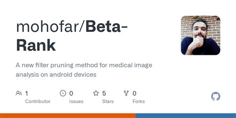 Github Mohofarbeta Rank A New Filter Pruning Method For Medical