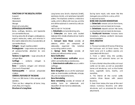 Functions Of The Skeletal System Functions Of The Skeletal System Support Protection Movement
