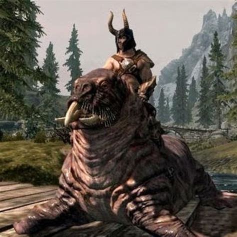 Silly Walrus Youtube