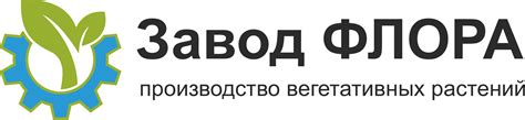 🌸 Купить срезы и укоренённые черенки — Завод ФЛОРА