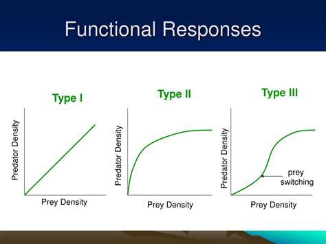 Ppt Predation Powerpoint Presentation Free Download Id3087087