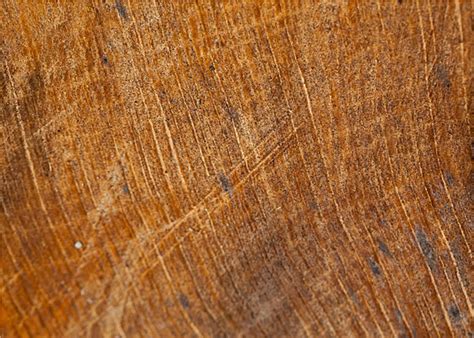 Vector Wood Plank Background Tree Pattern Brown Vector Tree Pattern