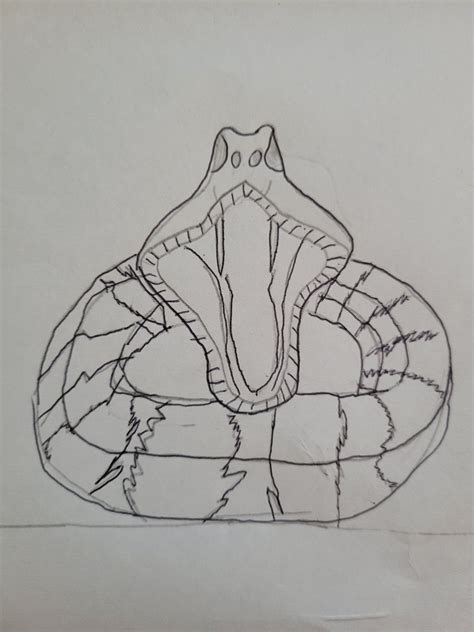 Python Coloring Sheet Etsy