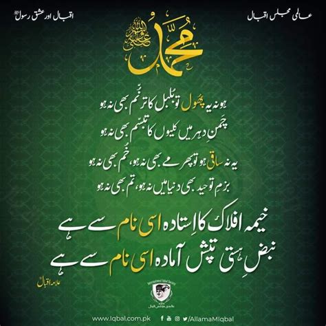 آل سنی سادات قومی اتحاد