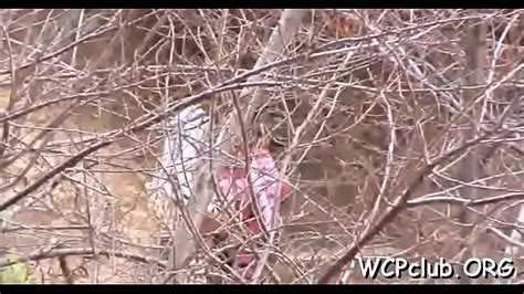 Sof Core Porn Videos Letmejerk