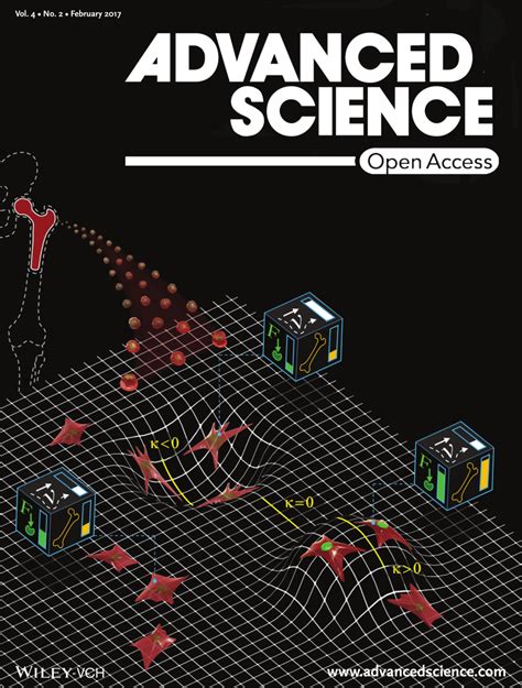 Pdf Cell Migration Surface Curvature Differentially Regulates Stem