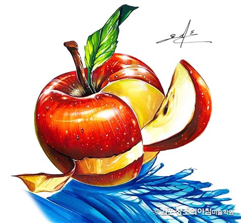 사과 기초디자인 자연물 나뭇잎 사과 개체묘사 구성 표현 한양대 예상문제 Art