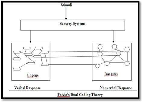 Schematic Representation Of Dual Coding Theory Download Scientific Diagram