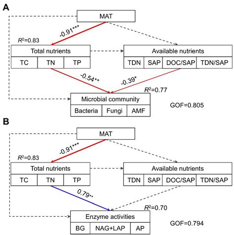 Frontiers | Contrasting responses of soil microbial biomass and extracellular enzyme activity ...