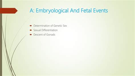 Developmental Embryological Aspects Of Reproductive System Pptx